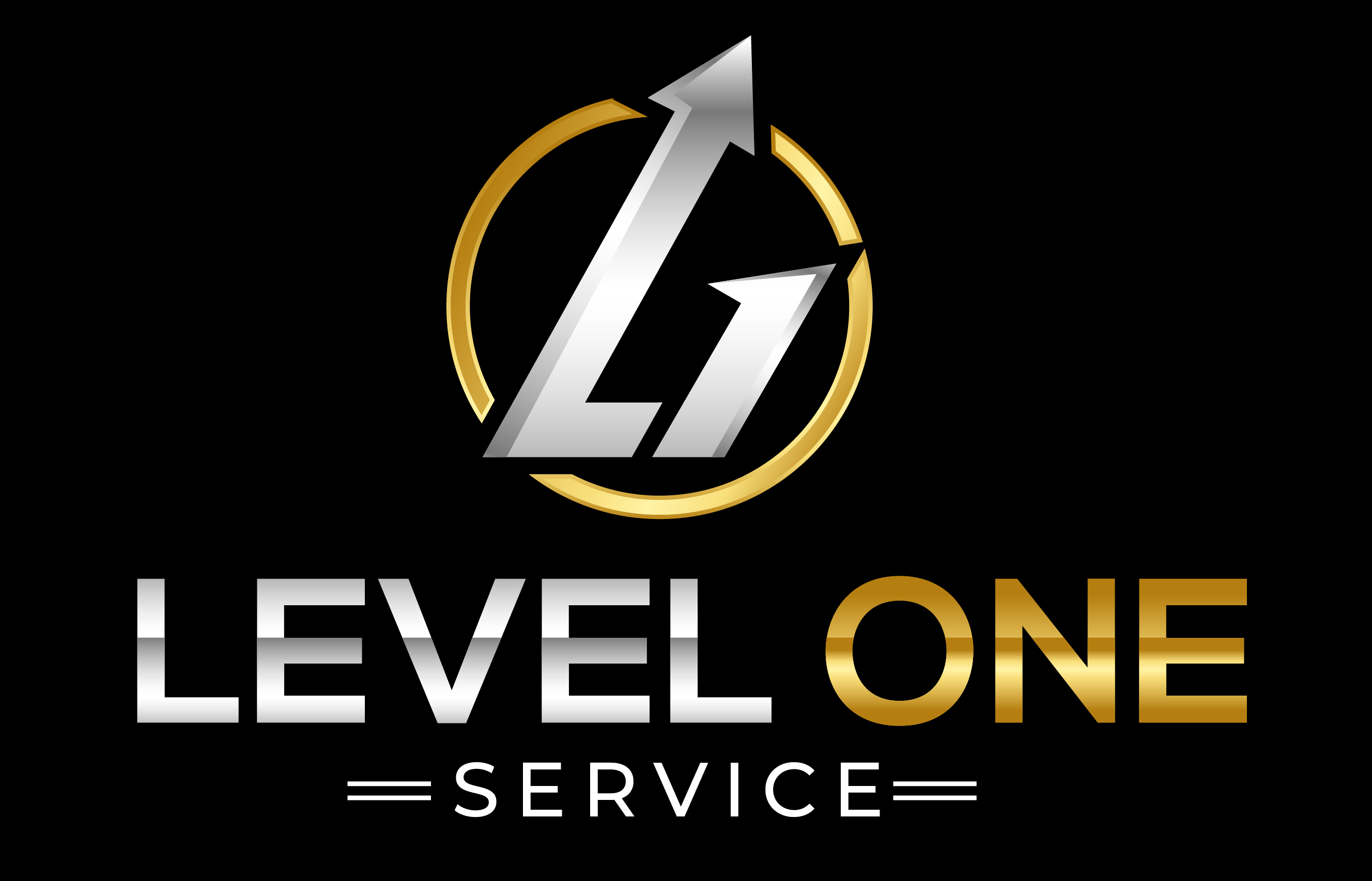 Level One Service - LEVEL ONE SERVICE